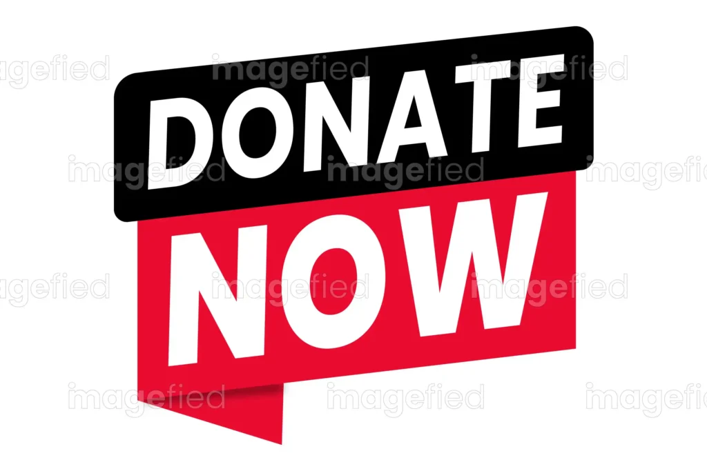 Donate Now Sign, Sticker, Label, Icon, Vector Illustration - Imagefied